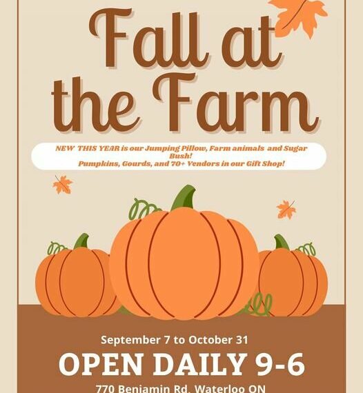 Fall Fun at Benjamin Tree Farm