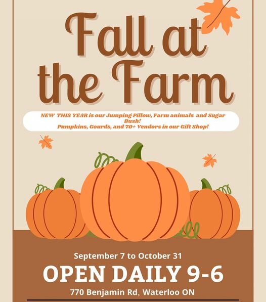 Fall Fun at Benjamin Tree Farm