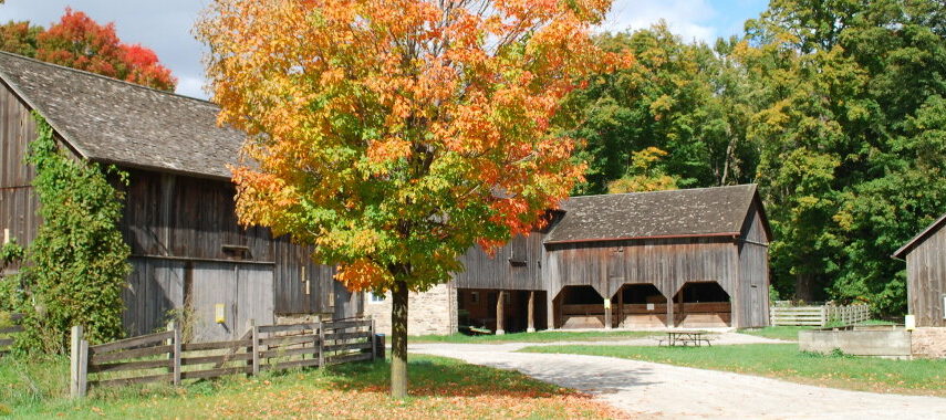 Fall Harvest Festival