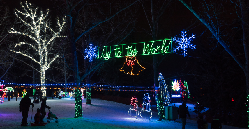 Lions Festival of Lights Opening Night (Fireworks)