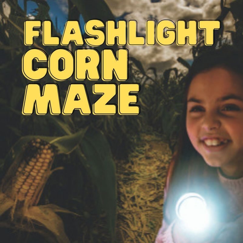 Flashlight Corn Maze