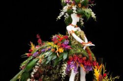 Things to Do in Vaughan | Places to Visit & Fun Activities to Do