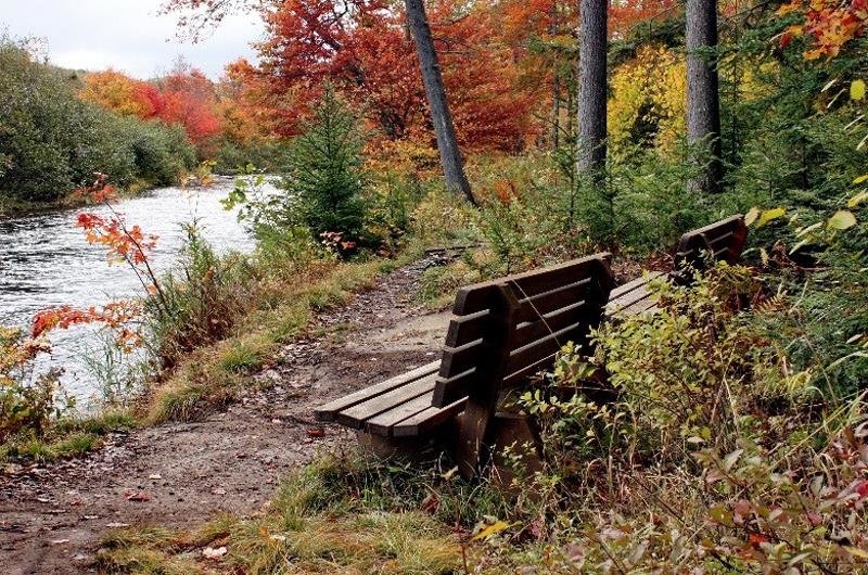 50+ Fun Things to Do This Fall in and Around Halifax Metro – 2025