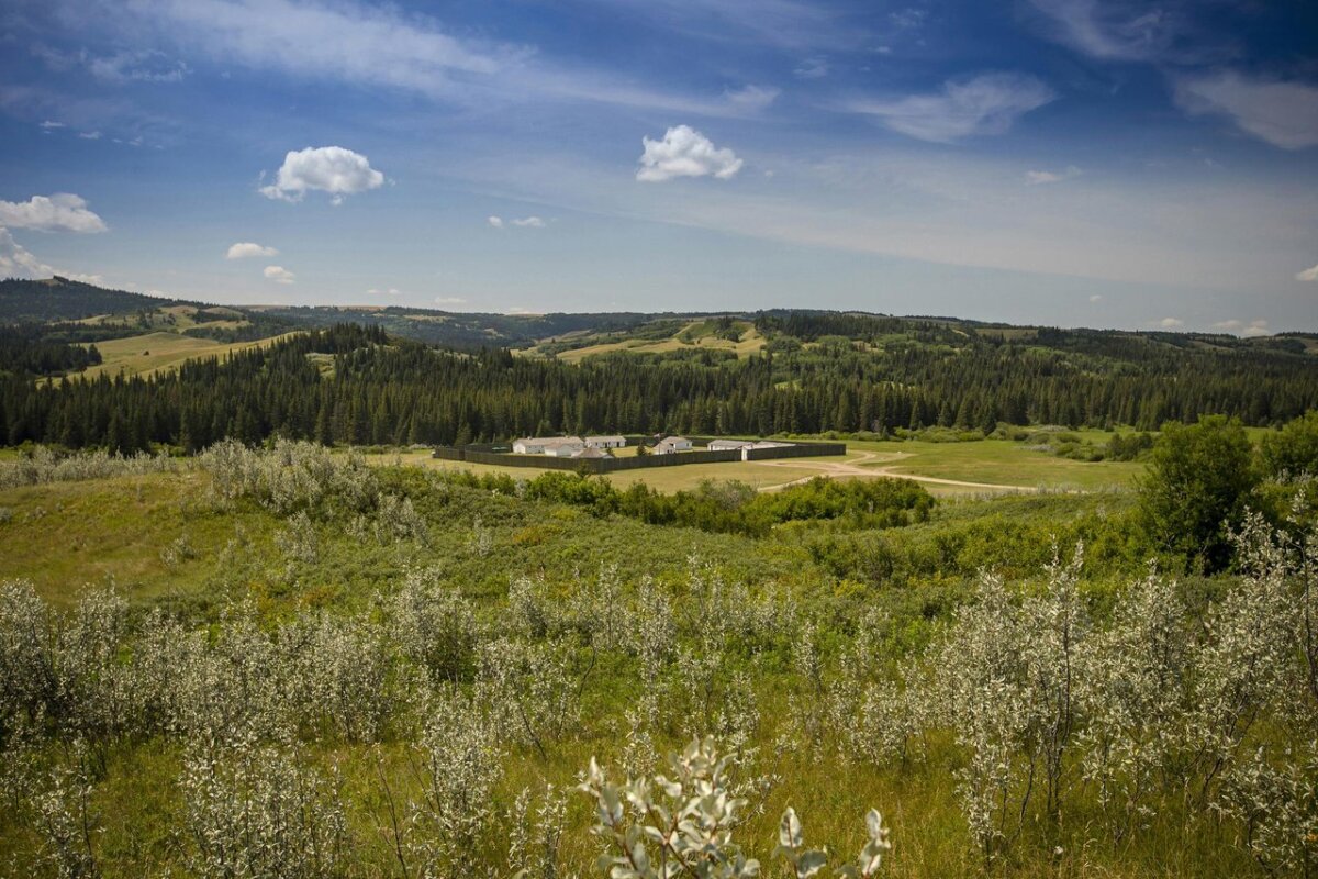 Cypress Hills Interprovincial Park – Saskatchewan: Towering Cliffs ...