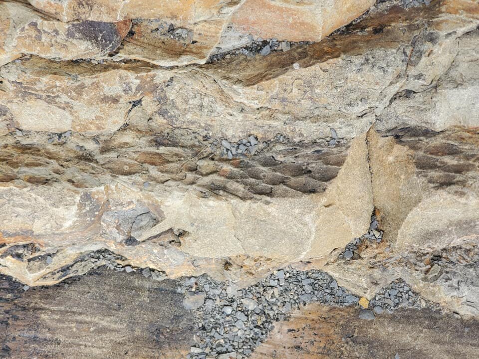 Cape Enrage: Things to Do For a Thrilling Summer Adventure Along Bay of ...