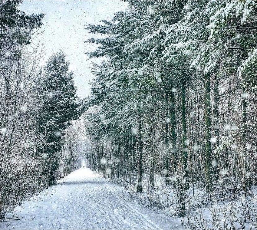 20+ Outdoor Winter Activities in Goderich & Huron County