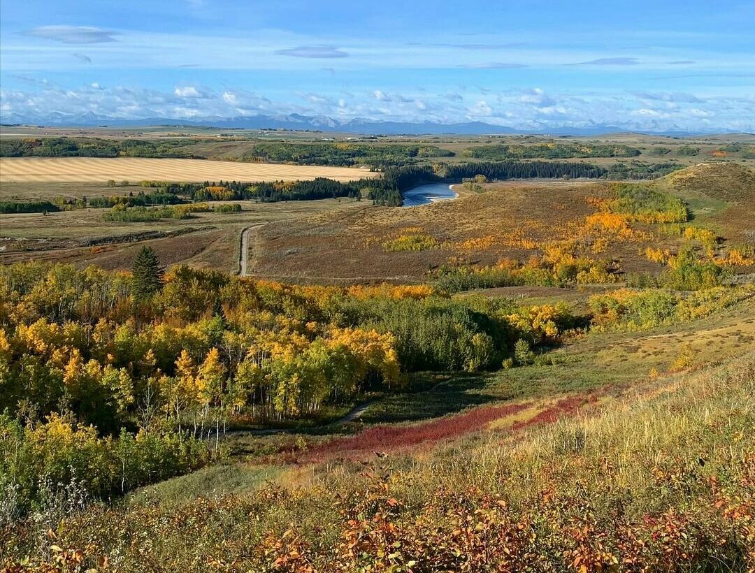 Visit Glenbow Ranch Provincial Park on a Fall Colour Day Trip From Calgary