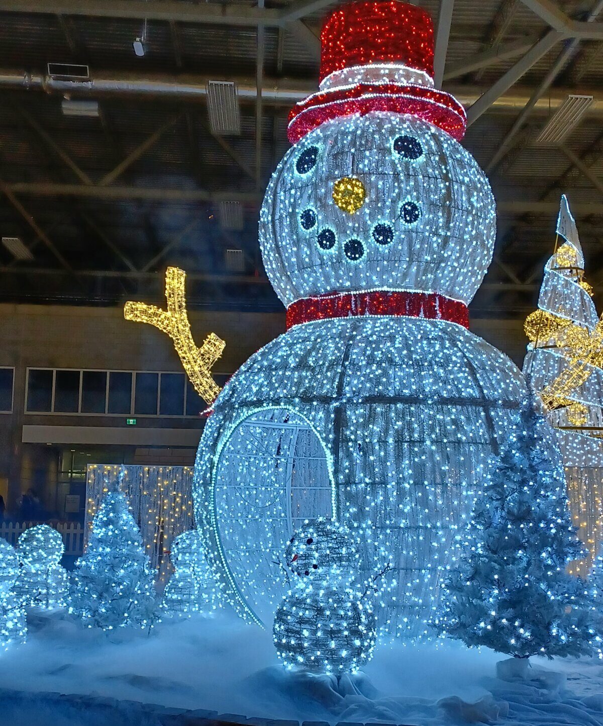 6 Ways to Making the Most of Glow YEG – Edmonton’s Festival of Lights