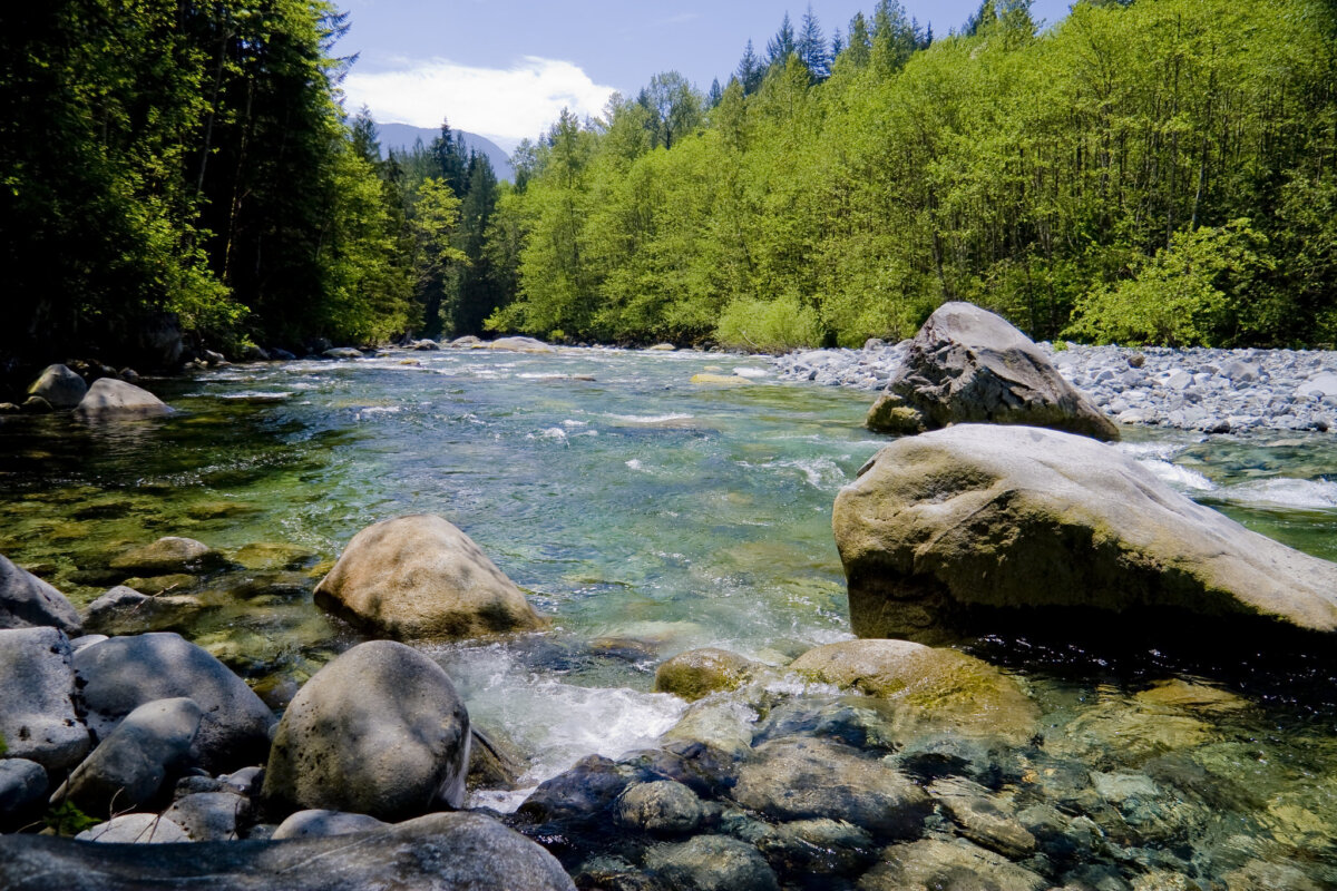 Golden Ears Park Offers Every Adventure Just an Hour from Vancouver