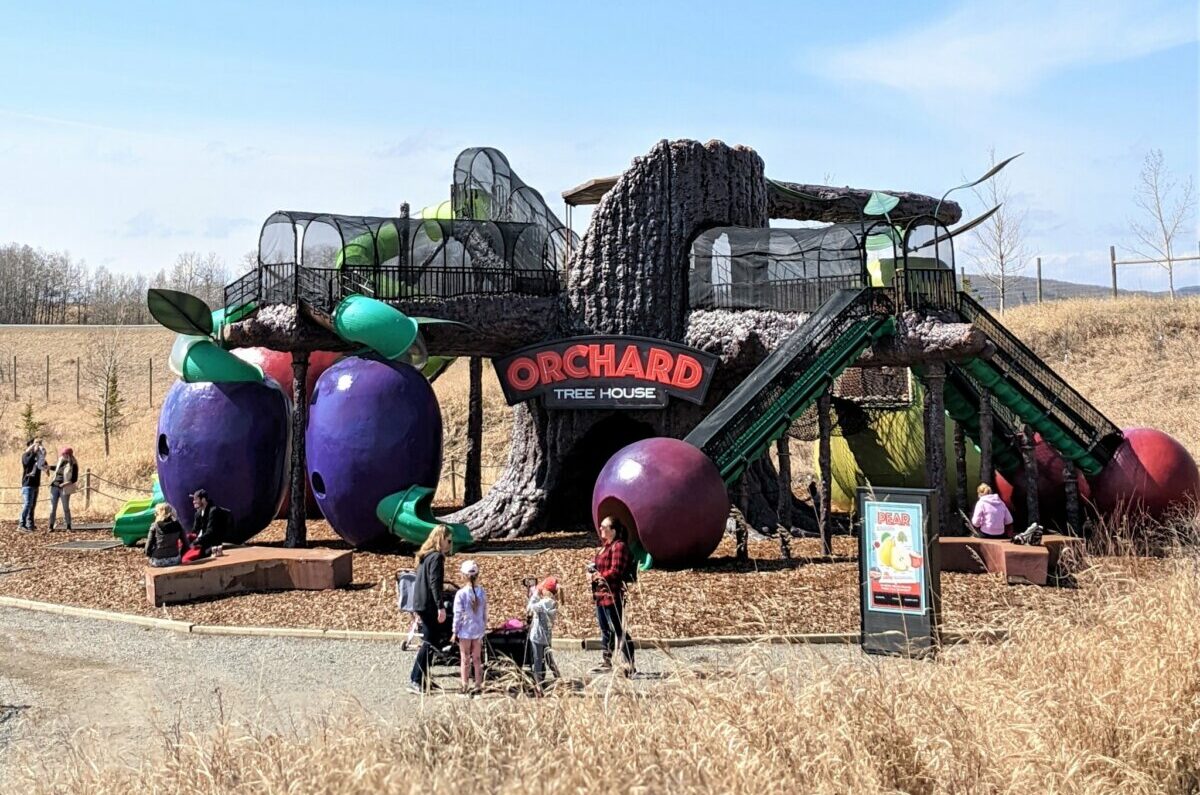 Farms to Visit Around Calgary During Alberta Open Farm Days