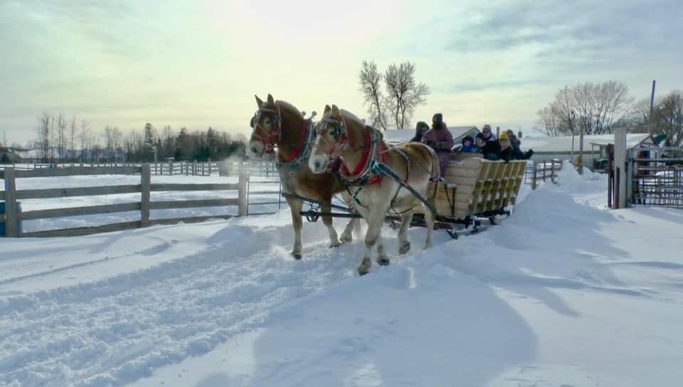 Places to Go to Enjoy Sleigh Rides on Prince Edward Island
