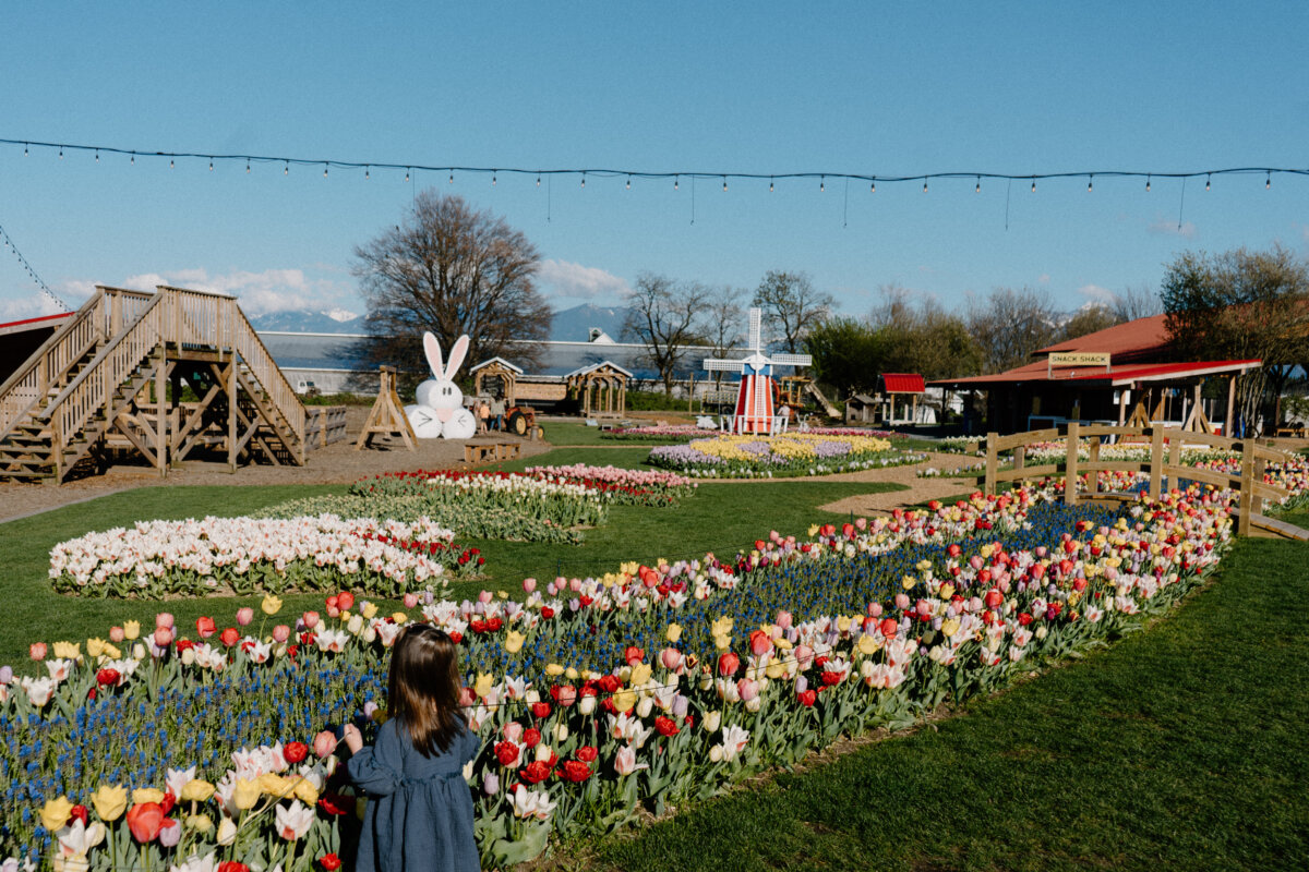 Flower Festivals, Easter Egg Hunts & More: Discover the Magic of Spring ...