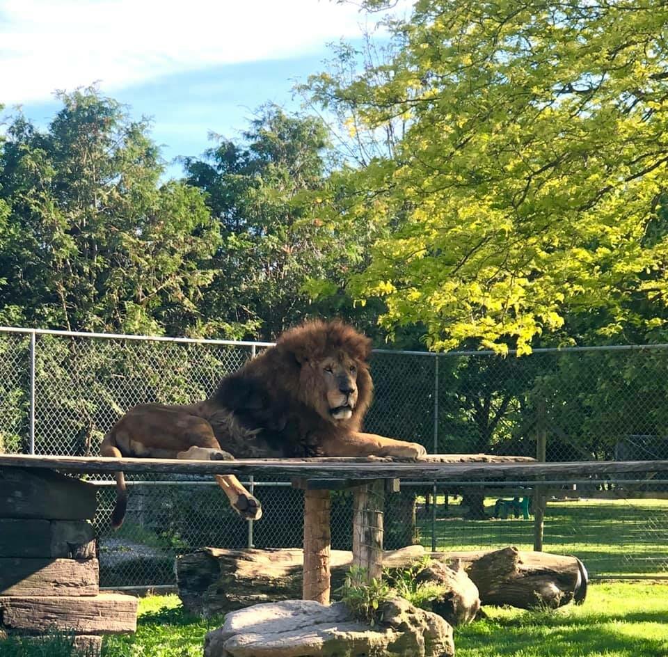 Ontario Road Trip: 50 Things to Do Along Lake Erie Shore
