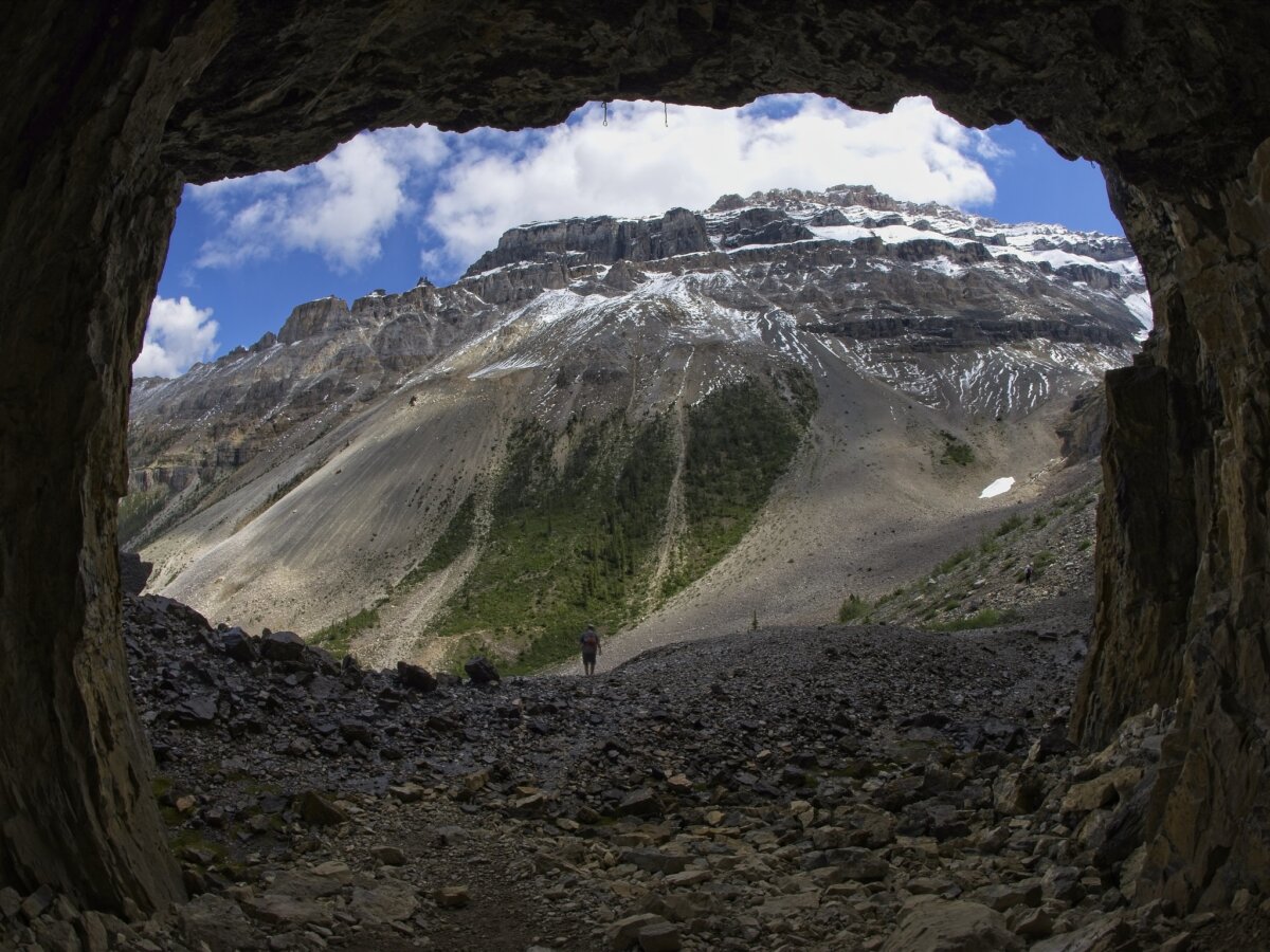 Guided Burgess Shale Fossil Hikes: Explore Restricted UNESCO Sites in ...