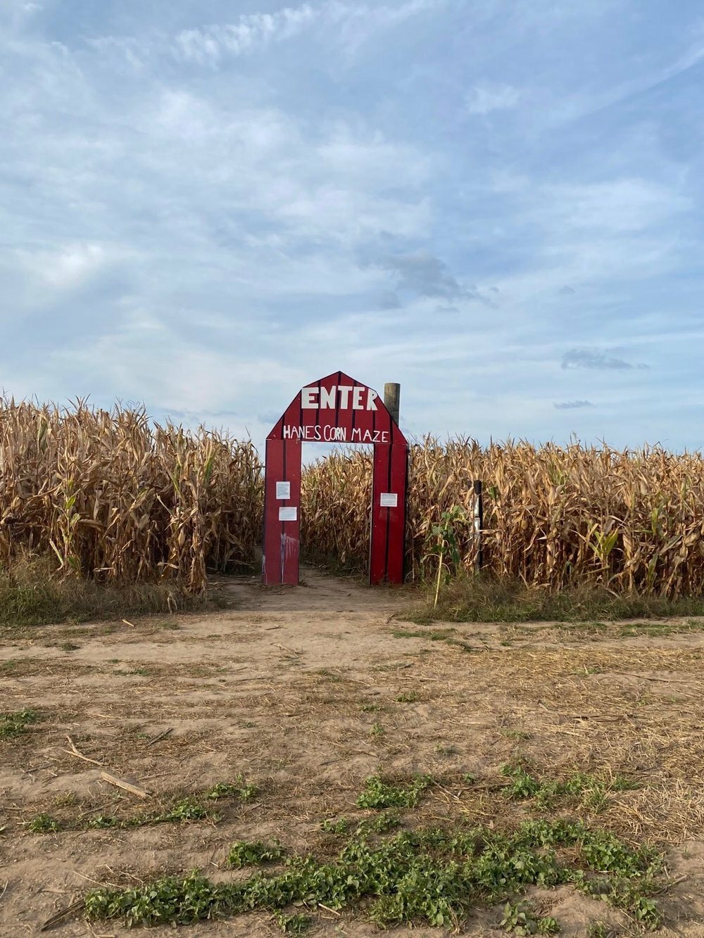 Fun Farms to Visit in Hamilton During Fall