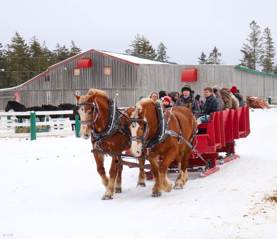Hatfield Farm Near Halifax Offering Fun Filled Farm Adventures This March Break