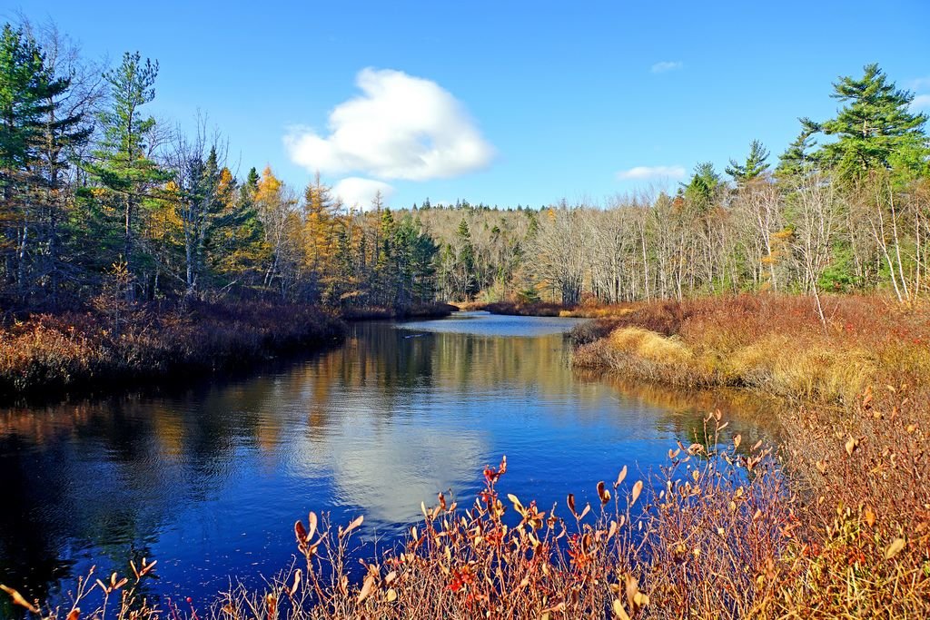 25 of the Best Hikes to Enjoy Fall in Halifax
