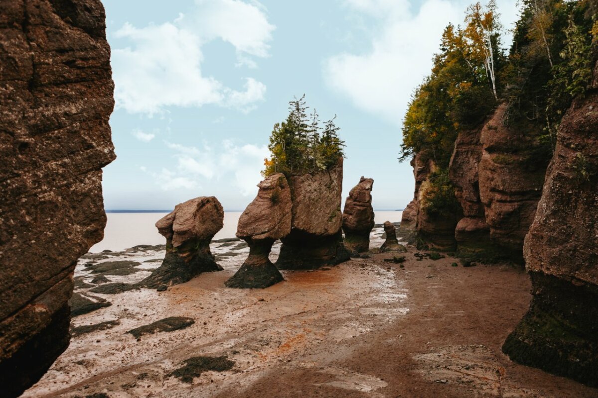 Explore the Tranquil Beauty of New Brunswick Through a Free Immersive ...