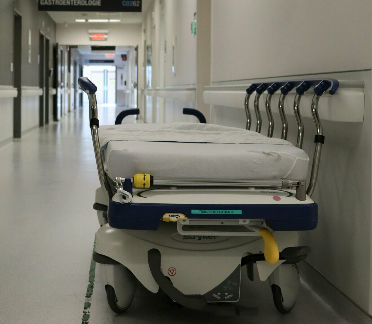 World’s Best Hospitals 2024: These Are the Best Hospitals in Canada