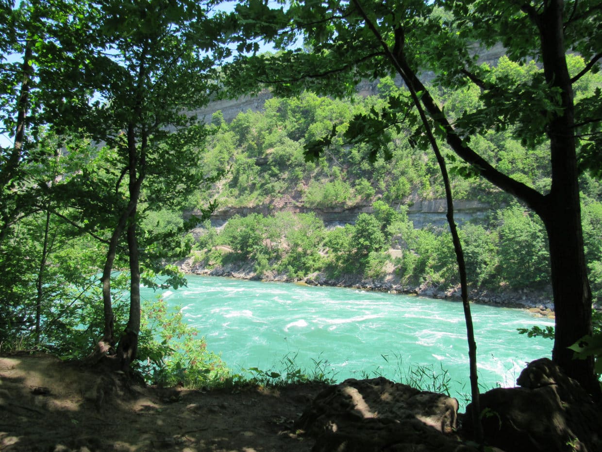 Must-Visit Nature Attractions & Hiking Trails in the Niagara Falls Region