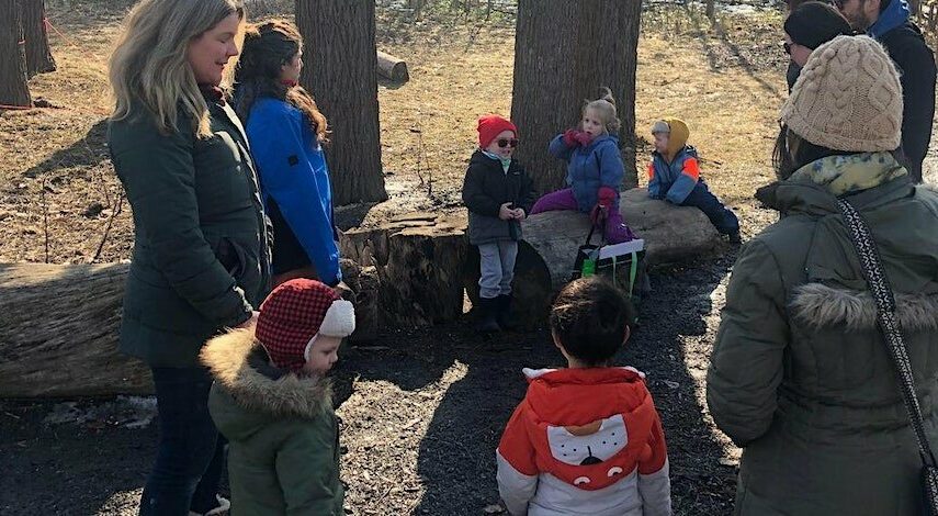 Jr. Forest Explorers: Celebration of light and sunshine