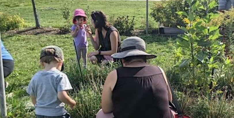 Jr. Forest Explorers: Orchard Adventure
