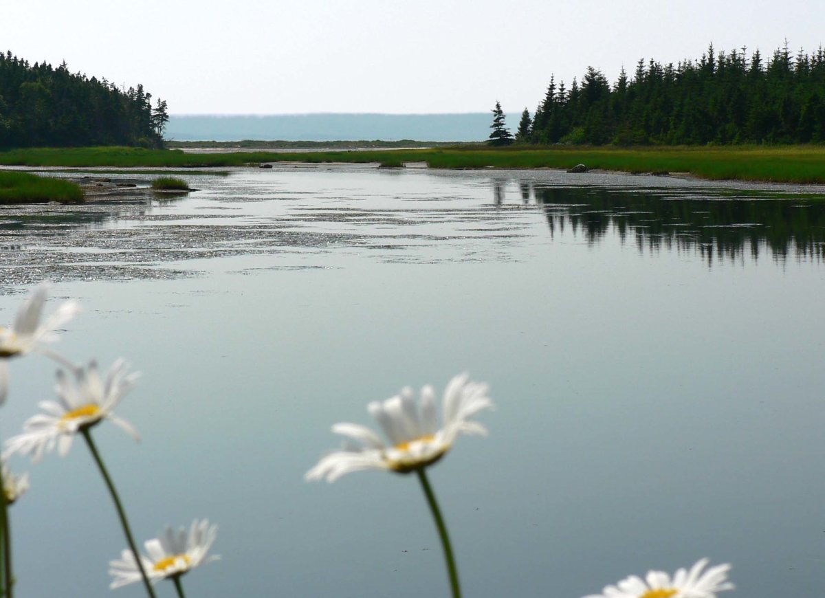 25 Things to Do this Summer in Richmond County