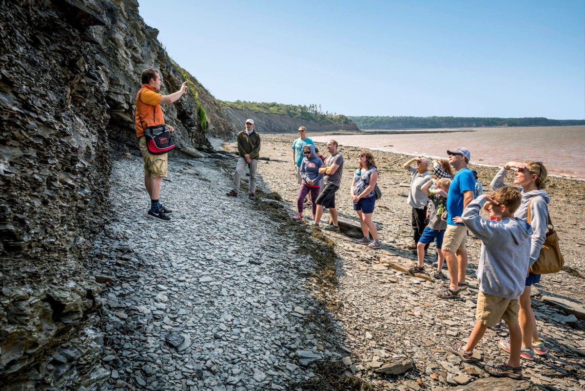 5 Reasons Why You Should Visit Joggins Fossil Cliffs