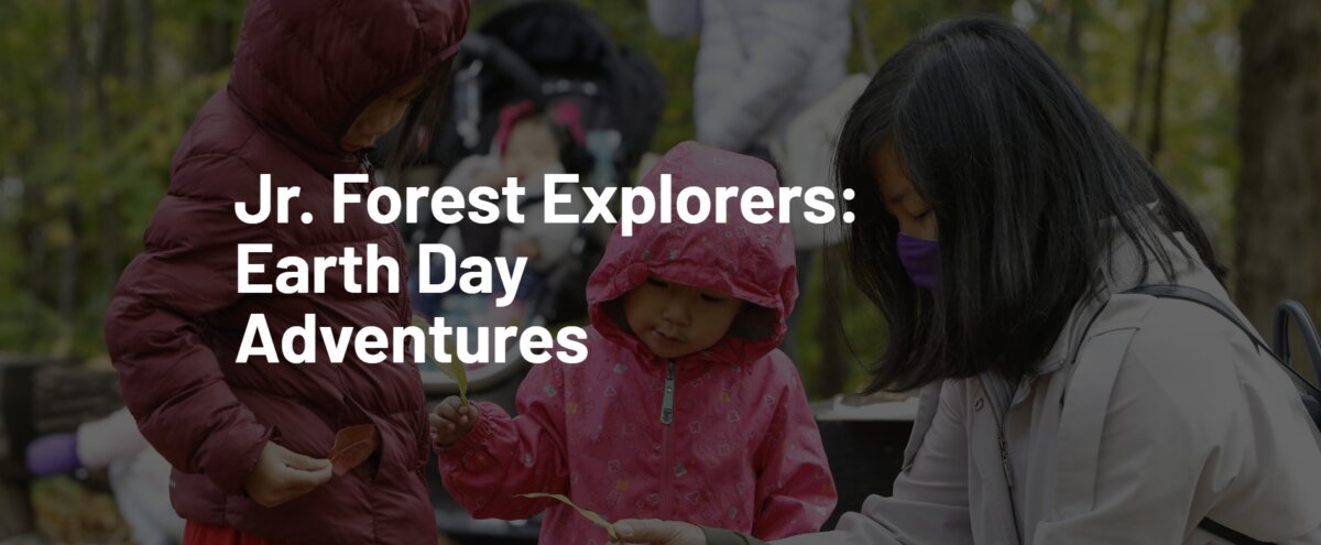 Jr. Forest Explorers: Nature Play