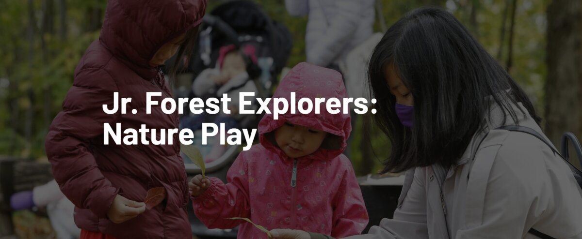 Jr. Forest Explorers: Nature Play