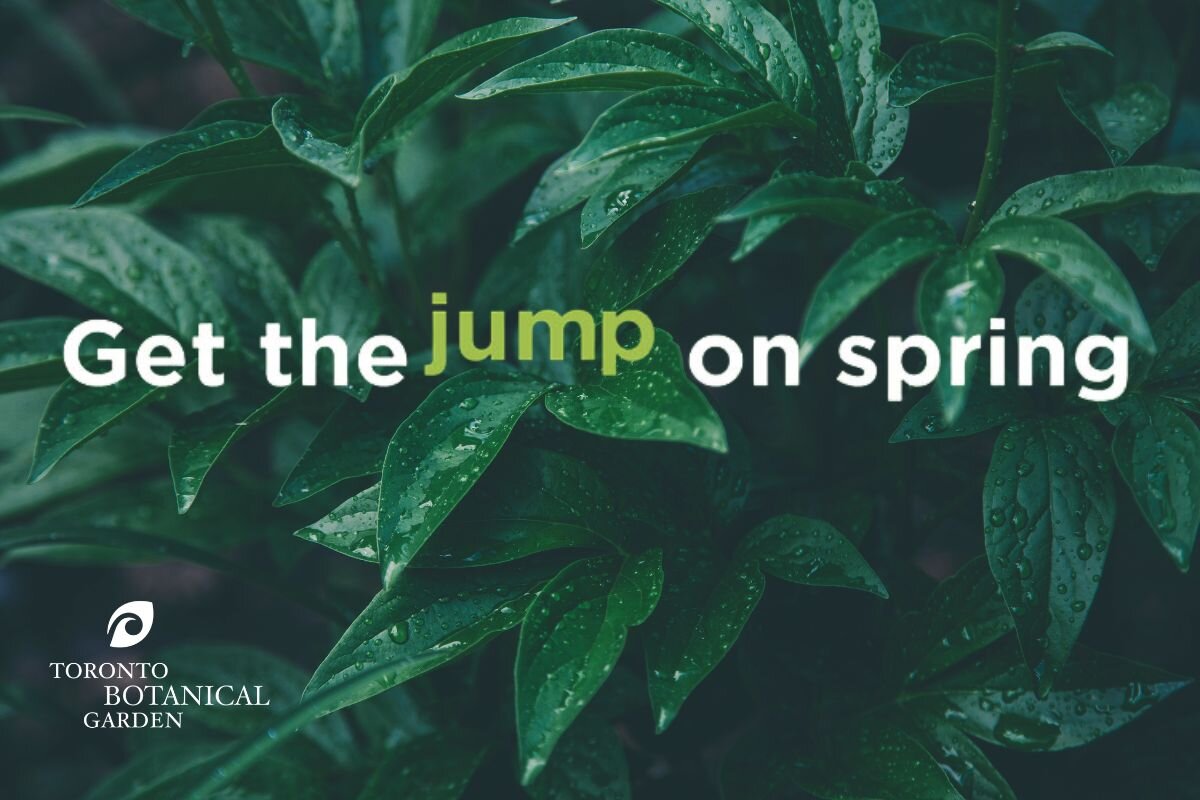 Get the Jump on Spring 2025