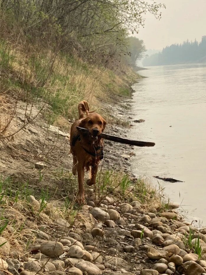 Jupiter by Colleen Murphy