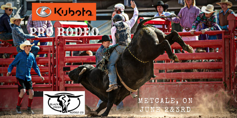 Metcalfe Kioti Rodeo