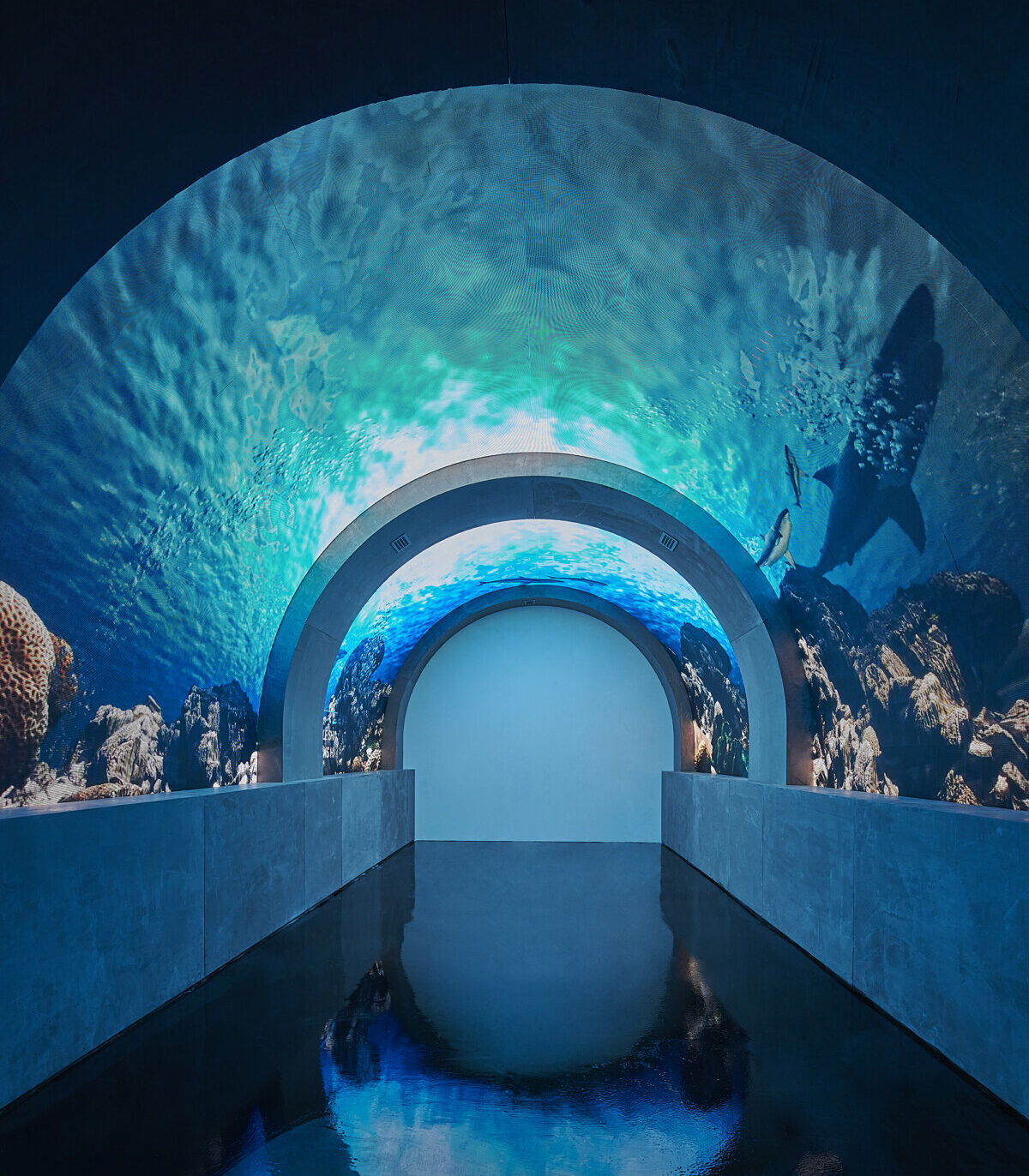 Arcadia Earth: Embark on a Multi-Sensory Trip For a Sustainable Future ...