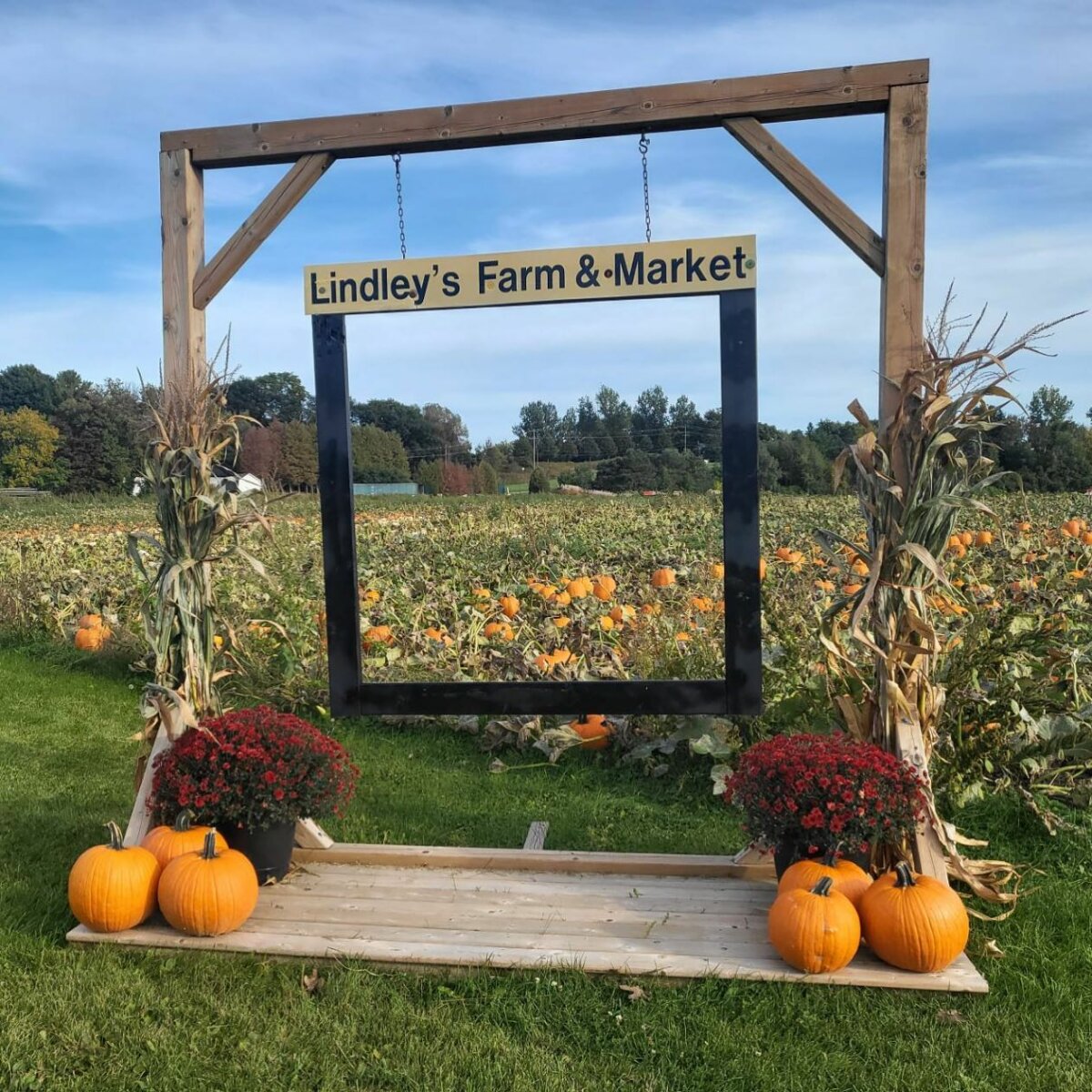 Fun Farms to Visit in Hamilton During Fall