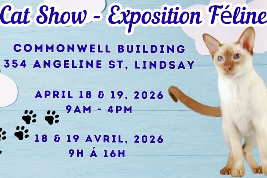 Lindsay Cat Show 2026