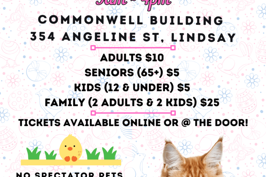 Lindsay Cat Show