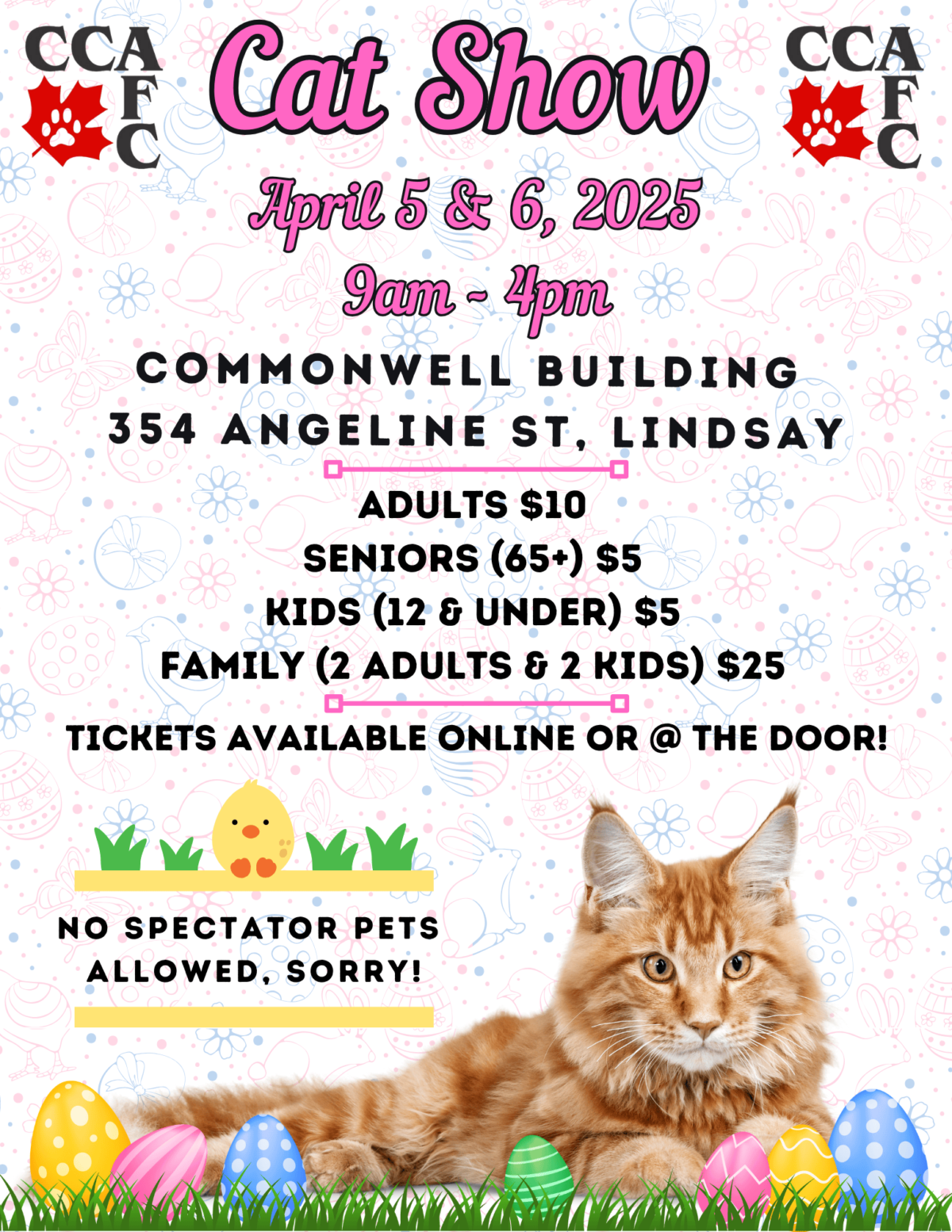 Lindsay Cat Show