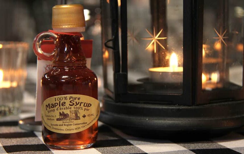 Kortright Maple Syrup Evening Tour