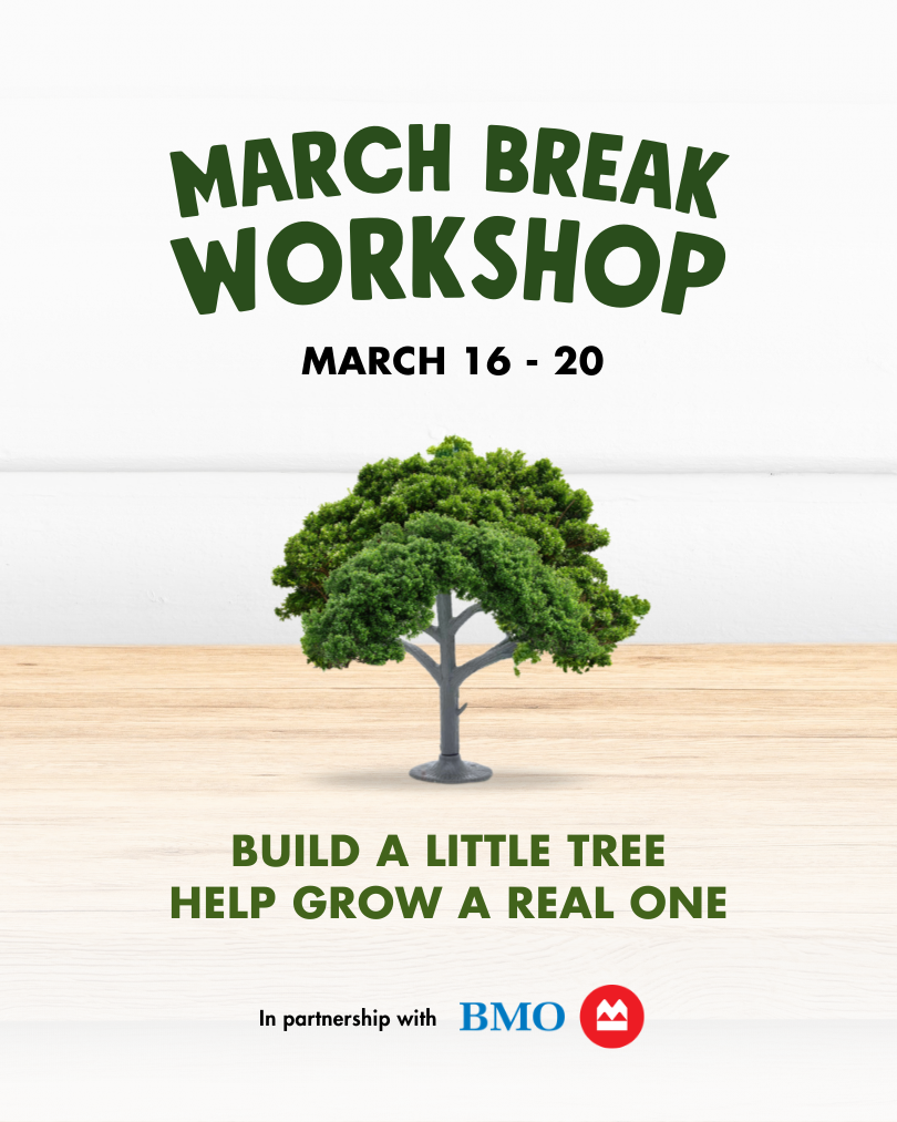 March Break Workshop Little Canada
