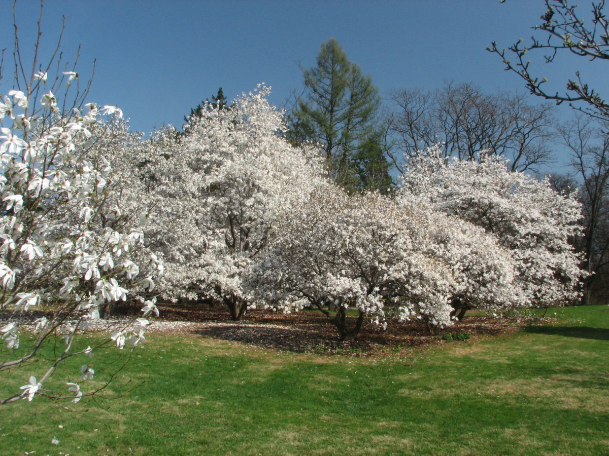 30 Things to Do Outdoors During Spring in Ottawa