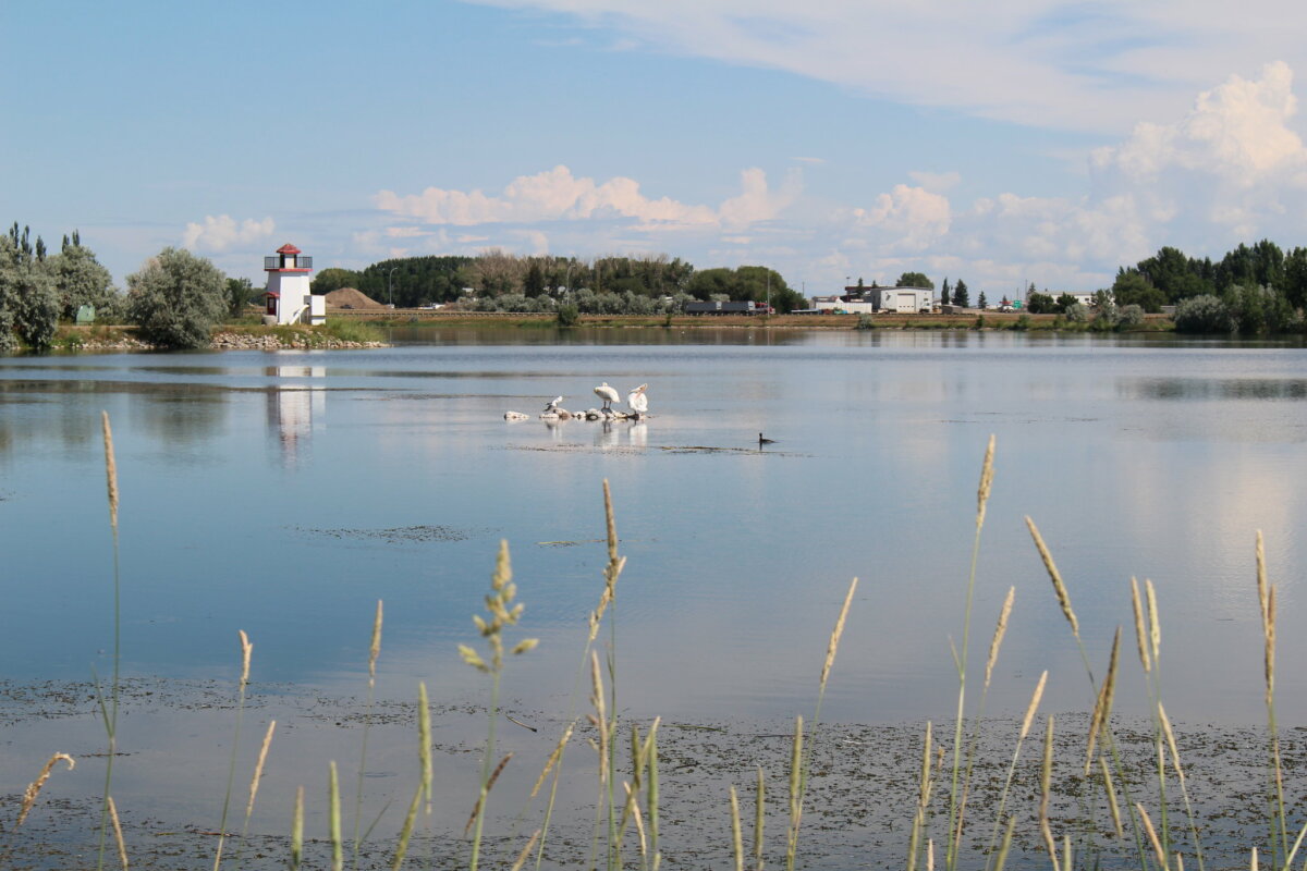 Make the Best of Your Trip to Brooks: Explore Alberta’s Southeastern ...