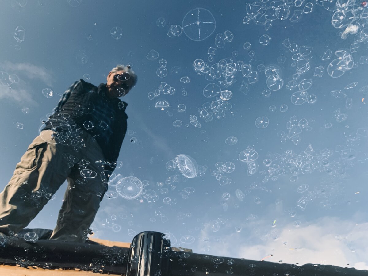 Malei Island Resort: Marine Wildlife Wilderness Getaway Near Vancouver ...