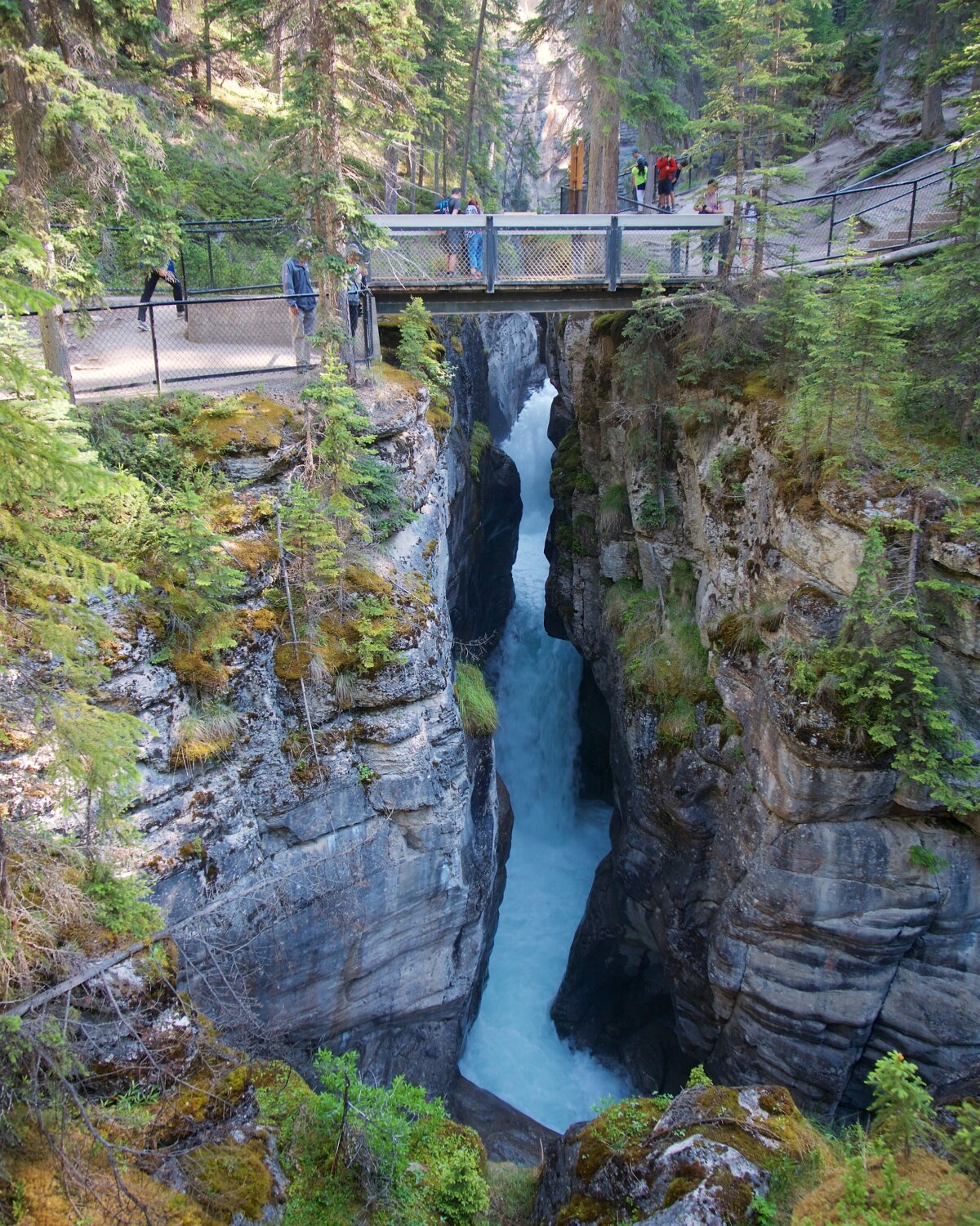 12 of the Most Scenic Bridges to Explore in Alberta on a Road Trip