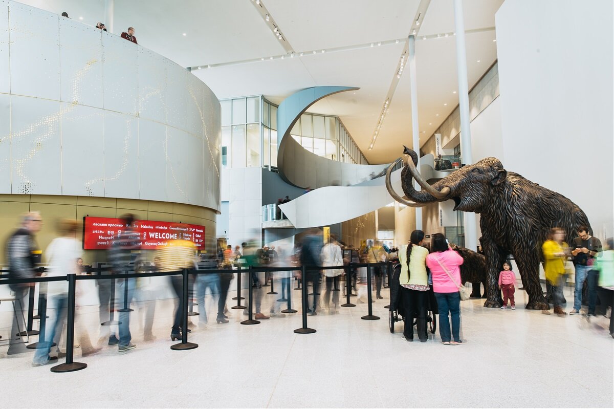 Mammoth Bites: Big Stories, Small Chunks