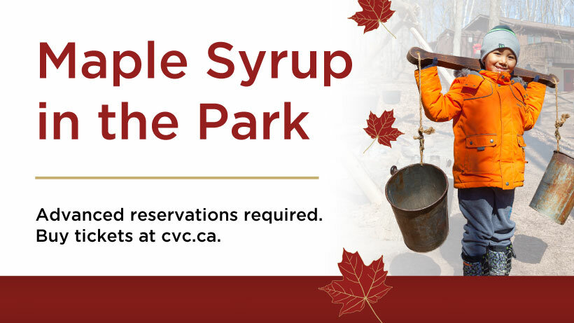 Maple Syrup in the Park – Island Lake