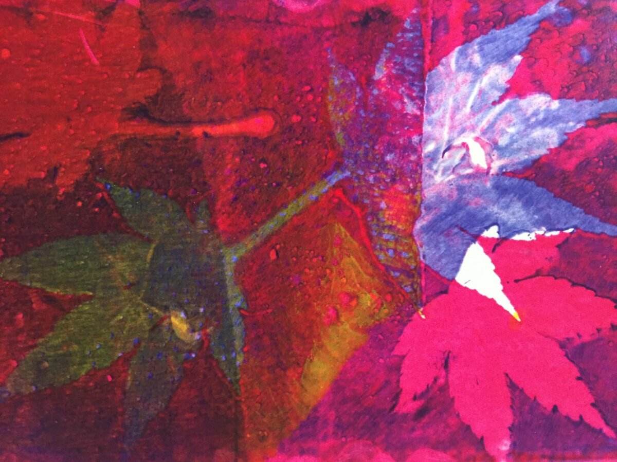 Colour Explosion: Printmaking with Mary Hay