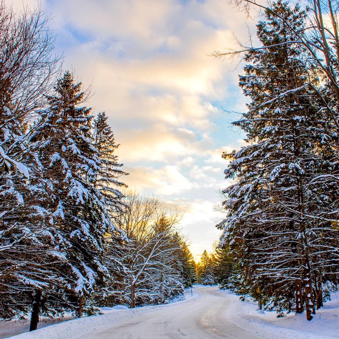25 Things to Do Outdoors During Winter in York Region