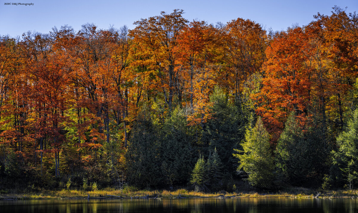 Mono Cliffs Provincial Park – Discover Towering Cliffs, Ancient Cedars ...