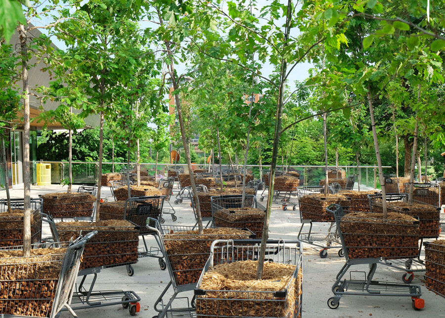 Moving Forest at Harbourfront Centre